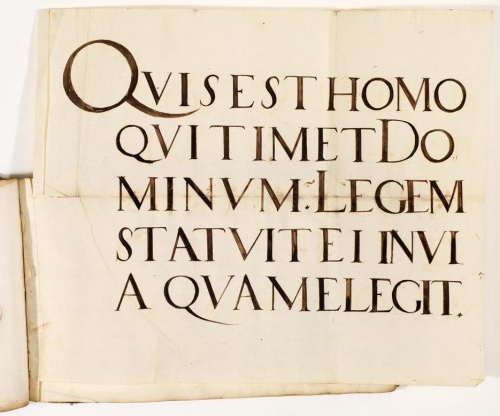 Calligraphic Script Template, 17th century – Design is fine. History is ...